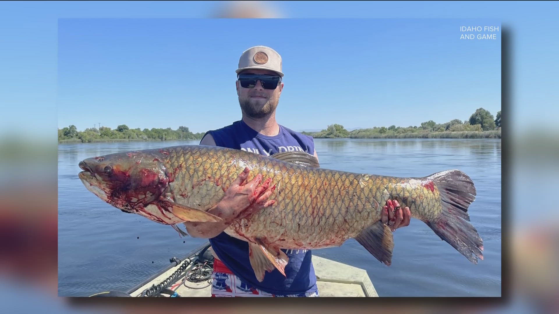 Idaho archer scales new heights with record carp | ktvb.com
