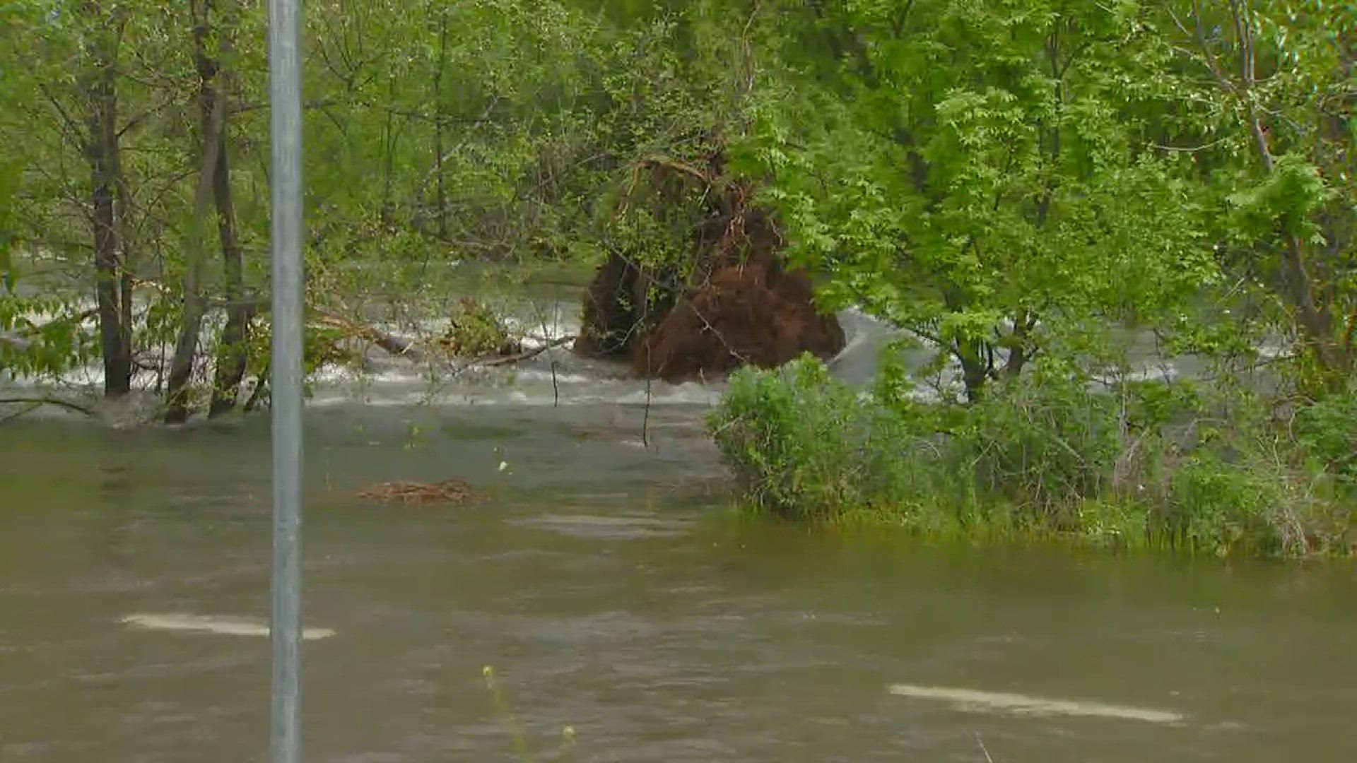 Tree topples into river, causes flooding in Garden City | ktvb.com