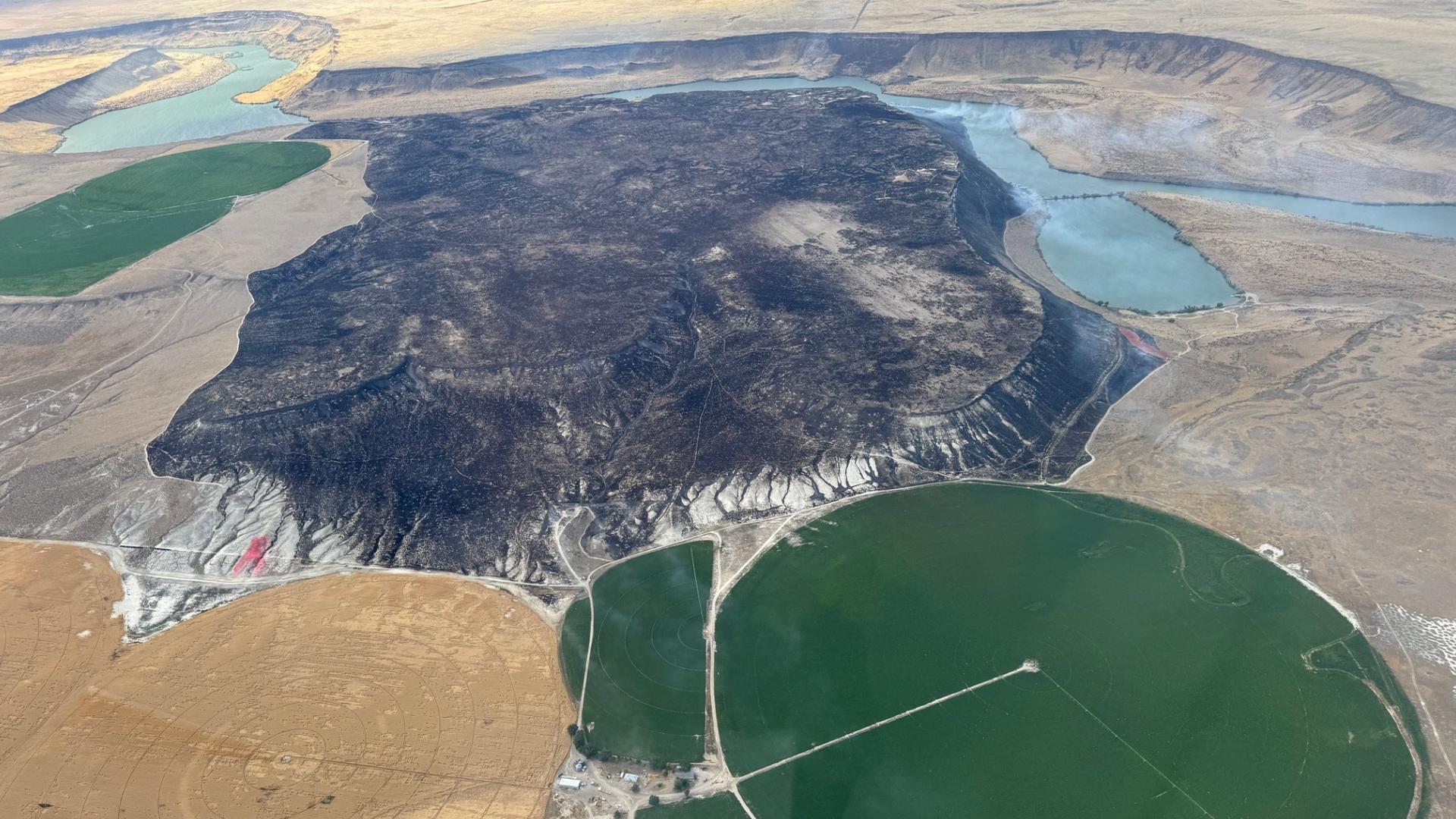 BLM halts wildfire growth near Mountain Home Air Force Base | ktvb.com