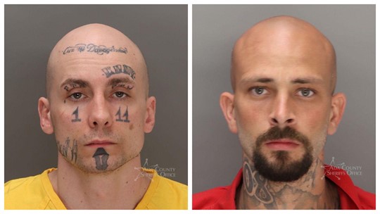 Idaho correctional officer sues Boise Police officer, city and county ...