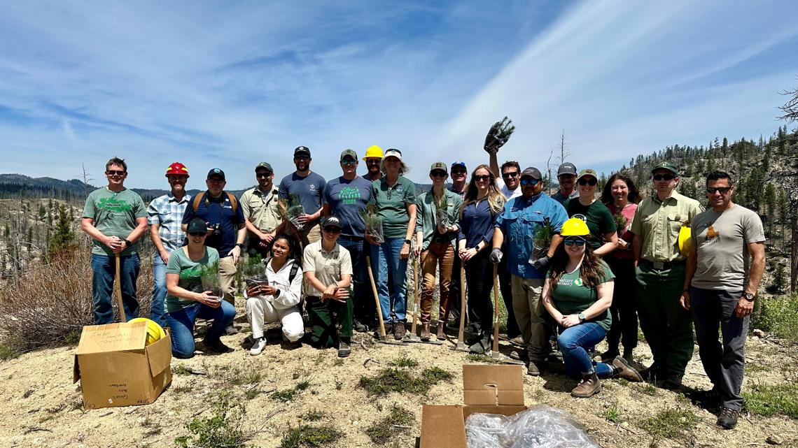 Boise's 'City of Trees Challenge' reaches milestone | ktvb.com