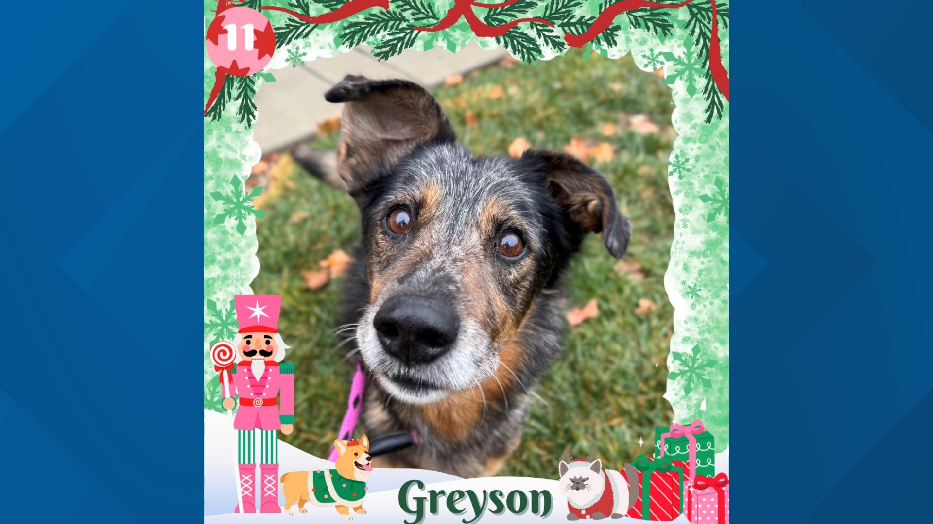 White Sox expect Japanese slugger Munetaka Murakami to make quick ...