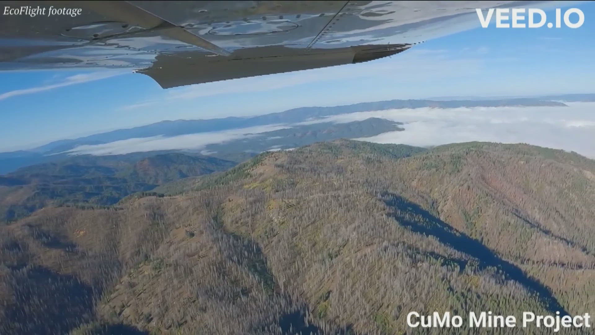 Conservation groups sue Forest Service over exploratory mining project ...