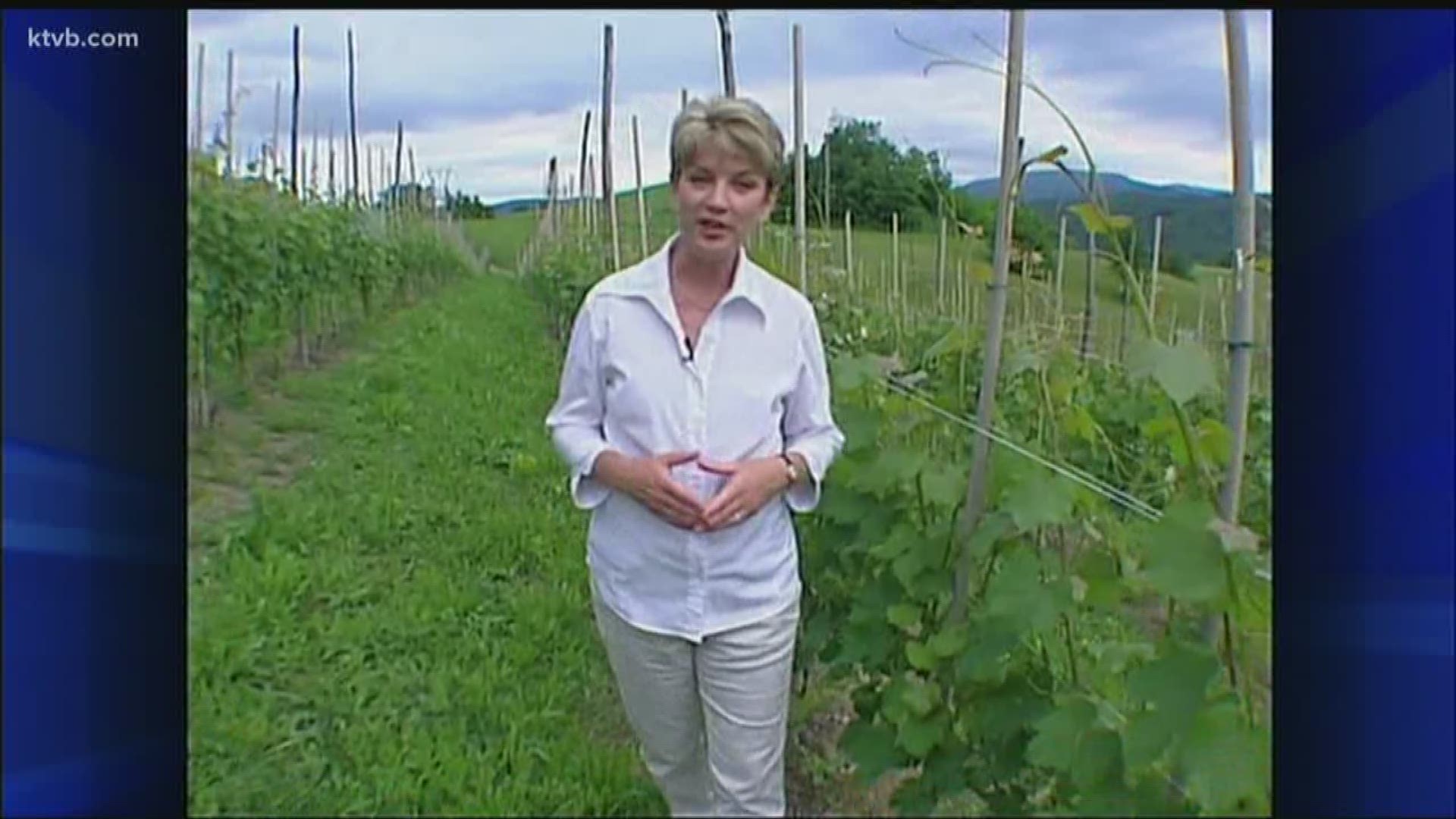 Dee Sarton's Life in Broadcasting: How it all started 40 years ago ...