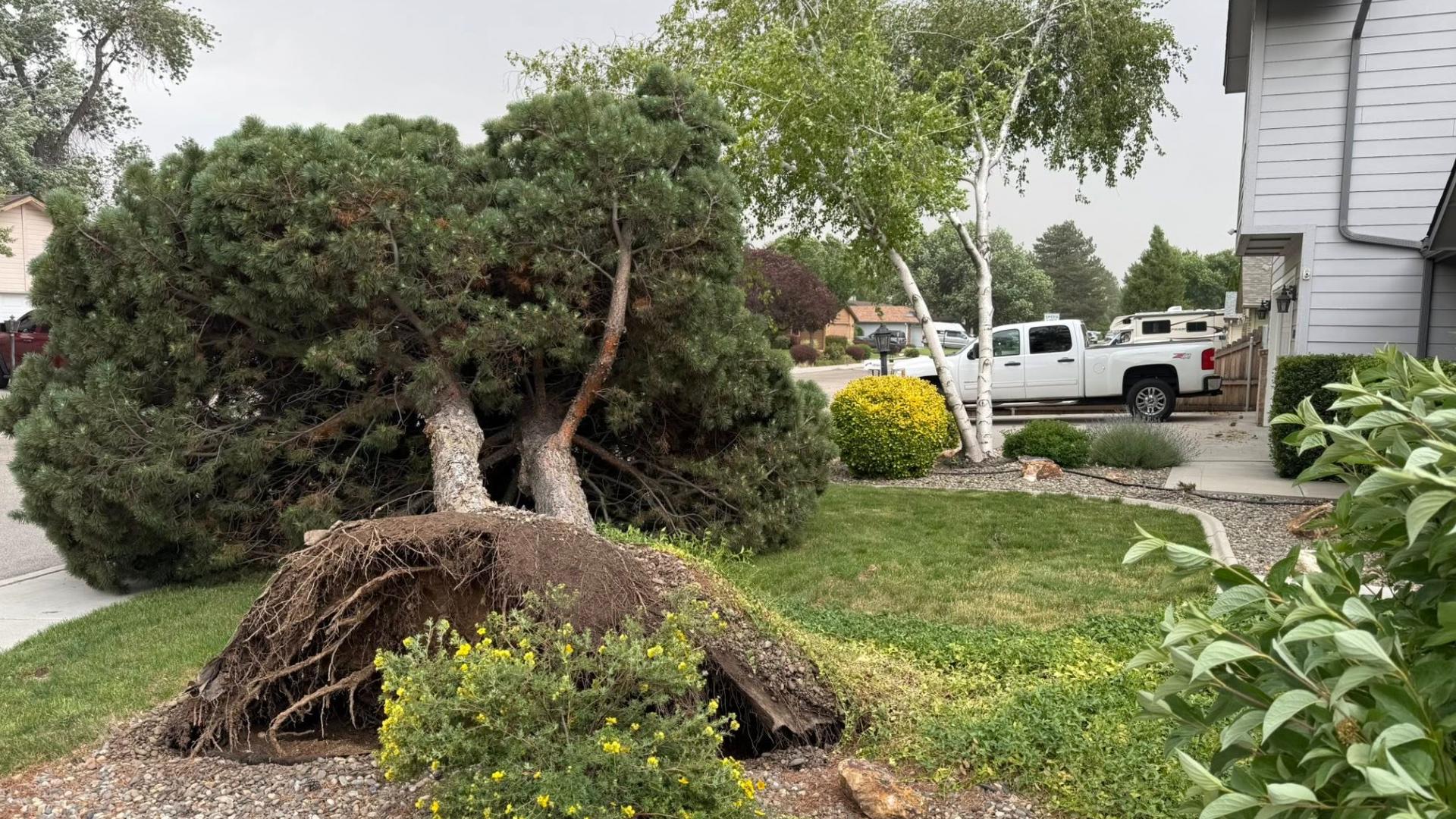 Treasure Valley slammed with severe thunderstorms, destructive winds ...