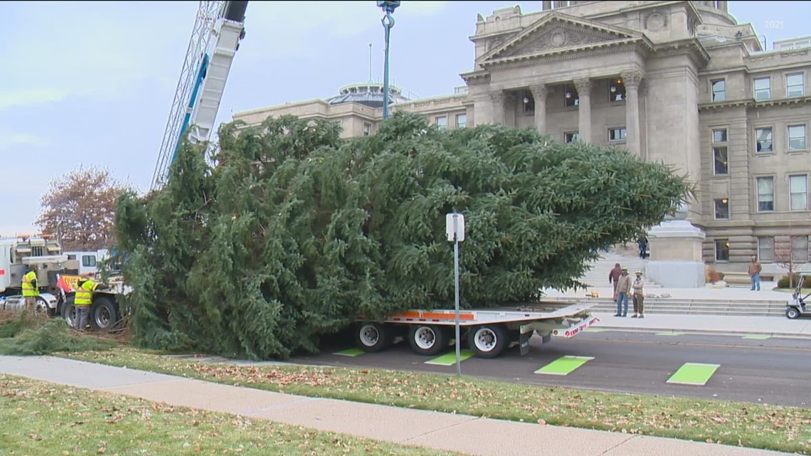 Idaho Capitol tree lighting ceremony | ktvb.com
