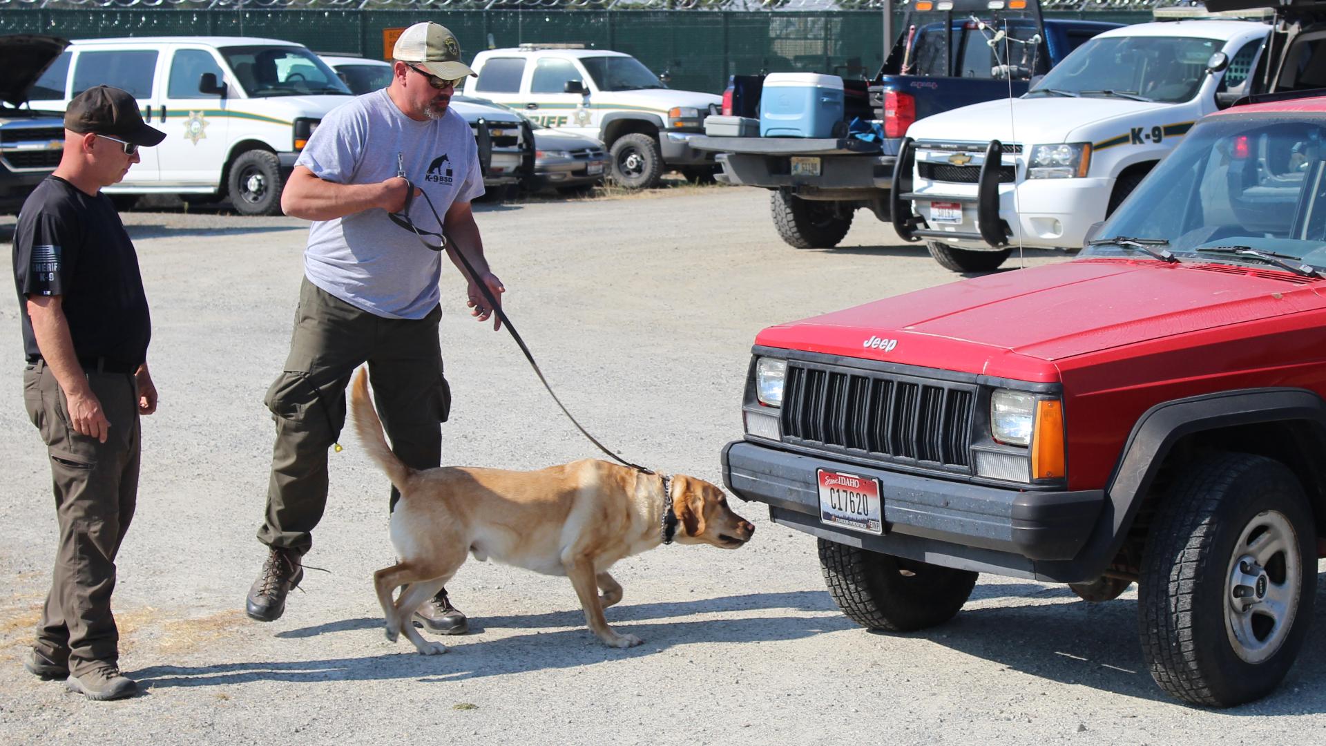 Hudson, K9 labrador, se jubila tras 10 años de servicio en Idaho | ktvb.com