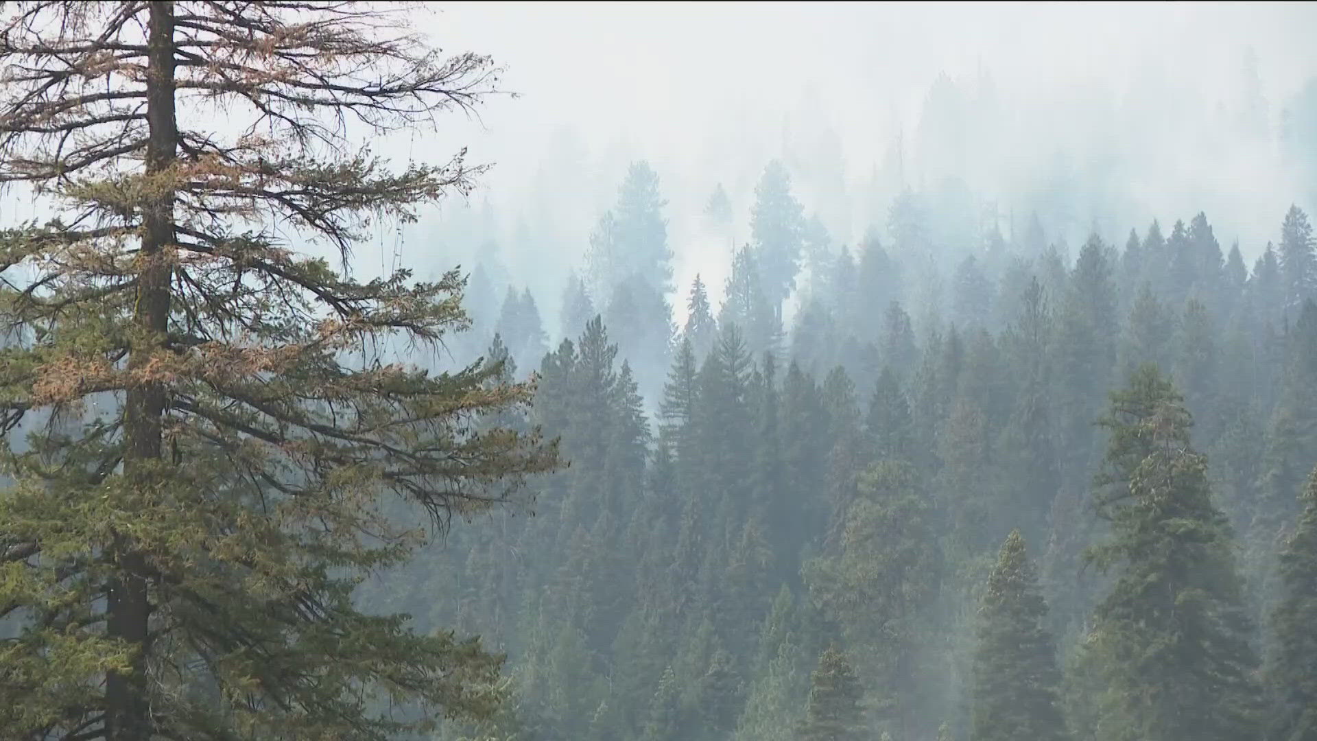 Rock Fire near Tamarack Resort remains at 74% containment on Sept. 2 ...