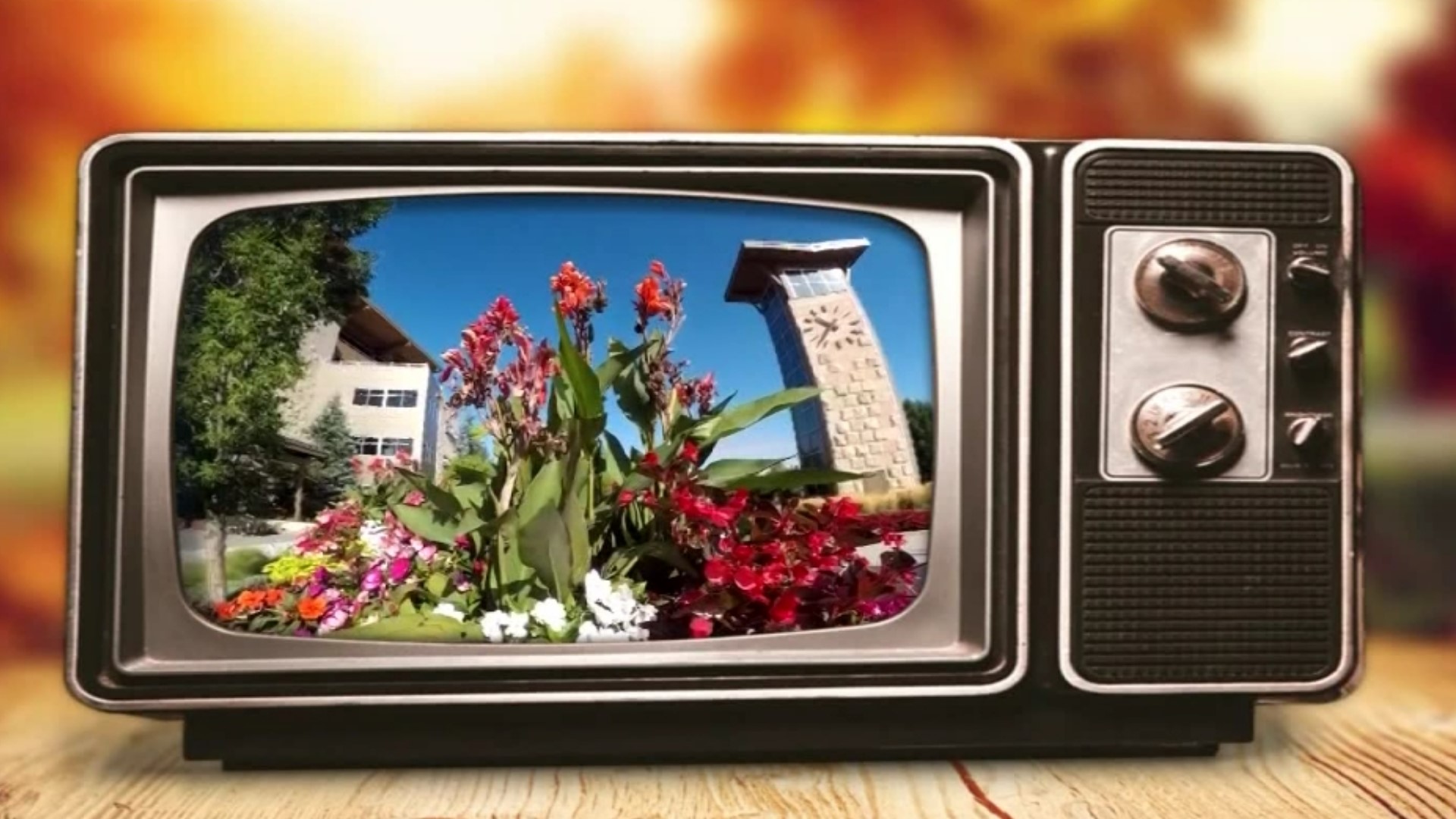 You Can Grow It: Best of Jim Duthie's features | ktvb.com