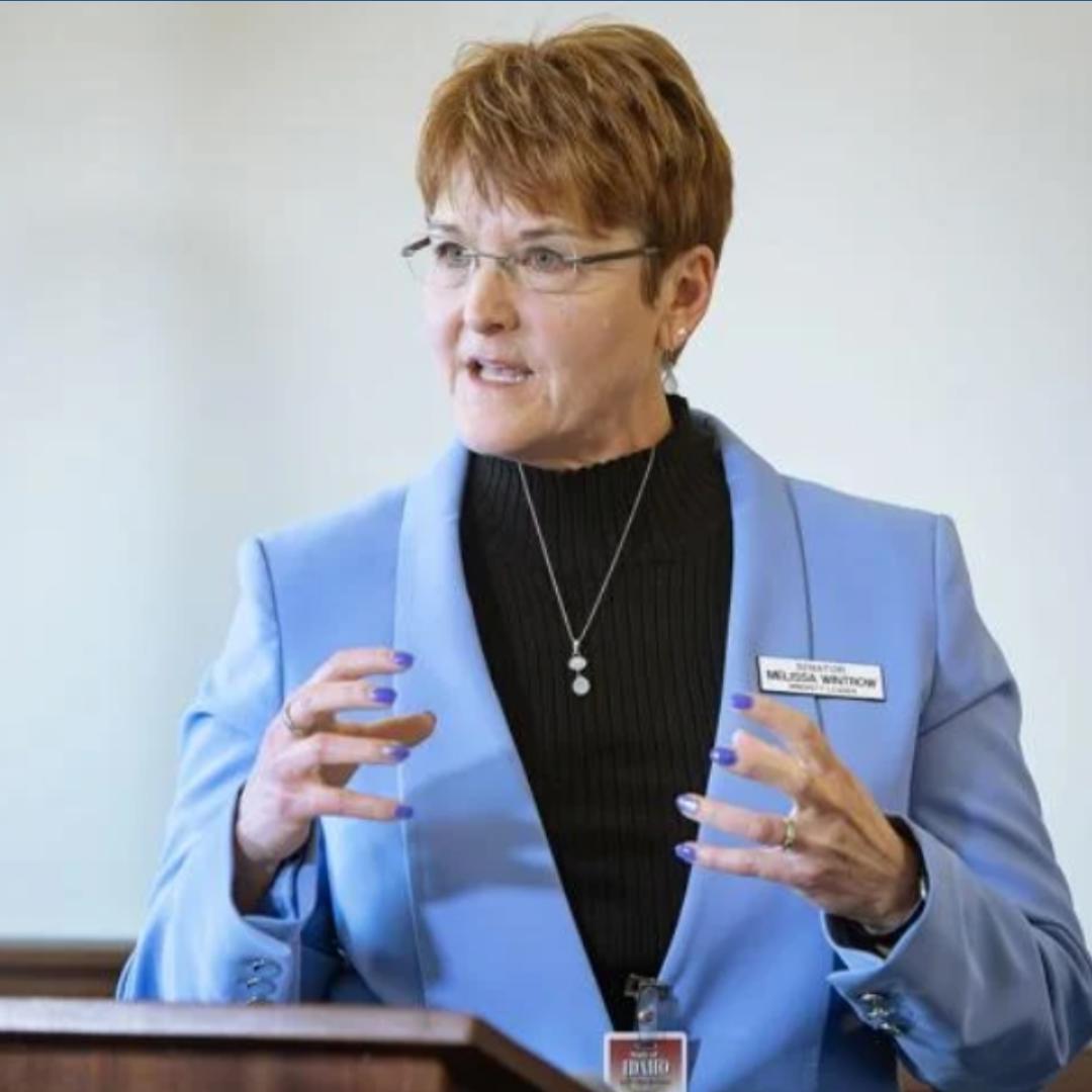 Health and Welfare hears concerns on multi-year managed care transition ...