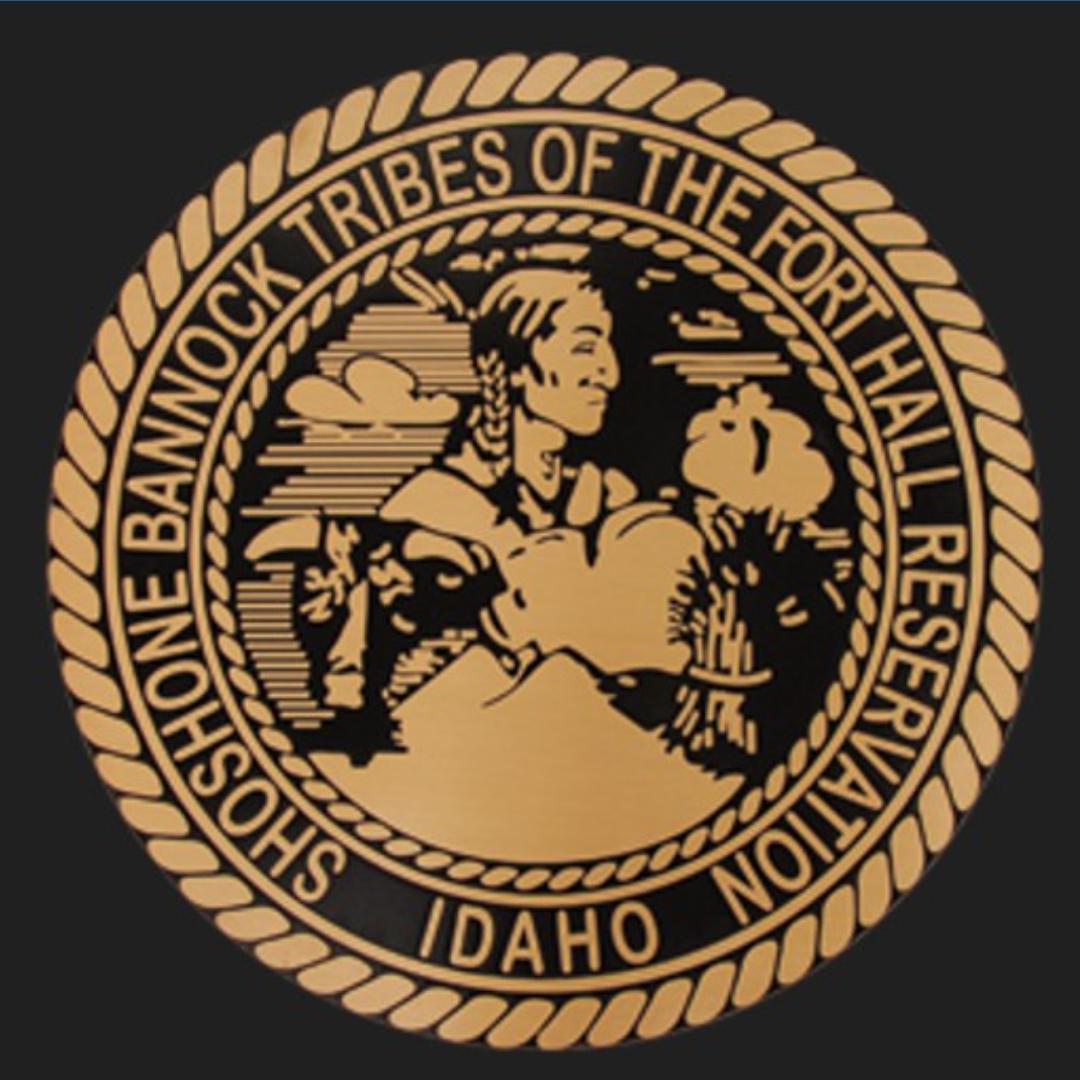 Shoshone-Bannock Tribes issue statement on federal healthcare changes ...