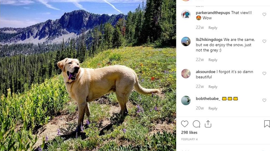 Boise dog is a star on social media, attracting followers and fans from ...