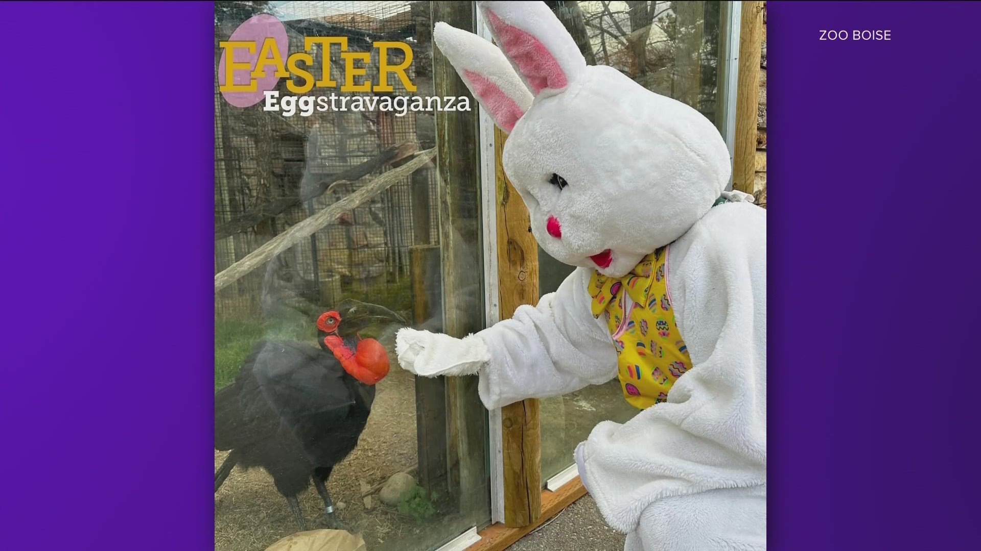 Zoo Boise to host 'Easter EGGstravaganza' on Saturday | ktvb.com