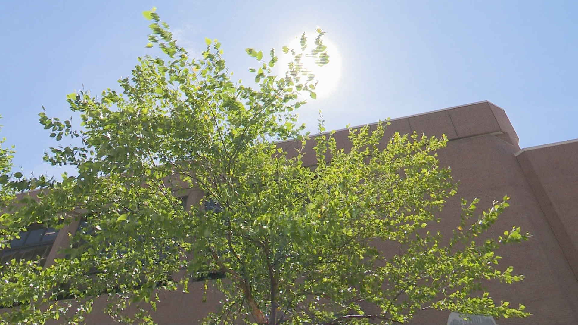 Micron's $15 billion Boise expansion helping make Idaho a leader in ...