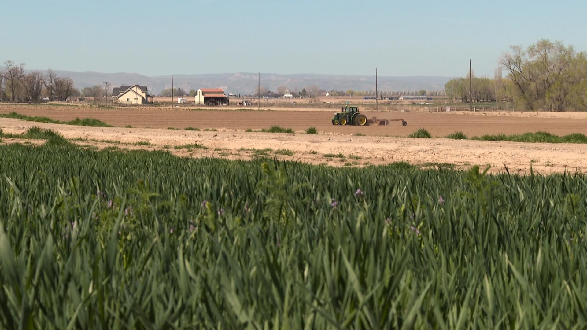 Canyon County planning commission rejects rezone in favor of preserving ...