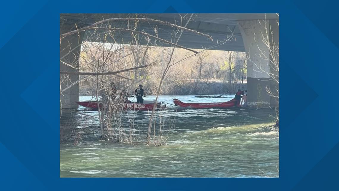 PHOTOS: Lots of dogs, puppies in Boise need forever homes | ktvb.com