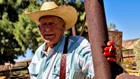 10 years after armed standoff with federal agents, Bundy cattle are ...