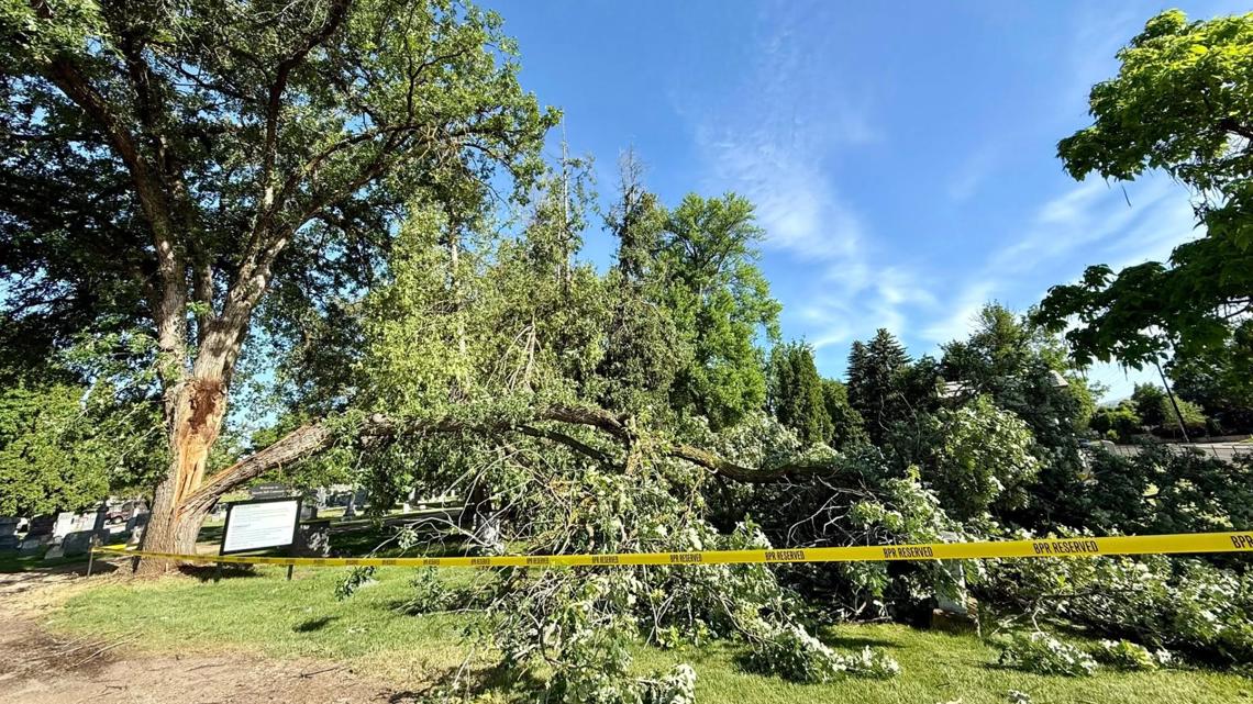 Boise's Community Forestry team responds to tree damage following storm ...