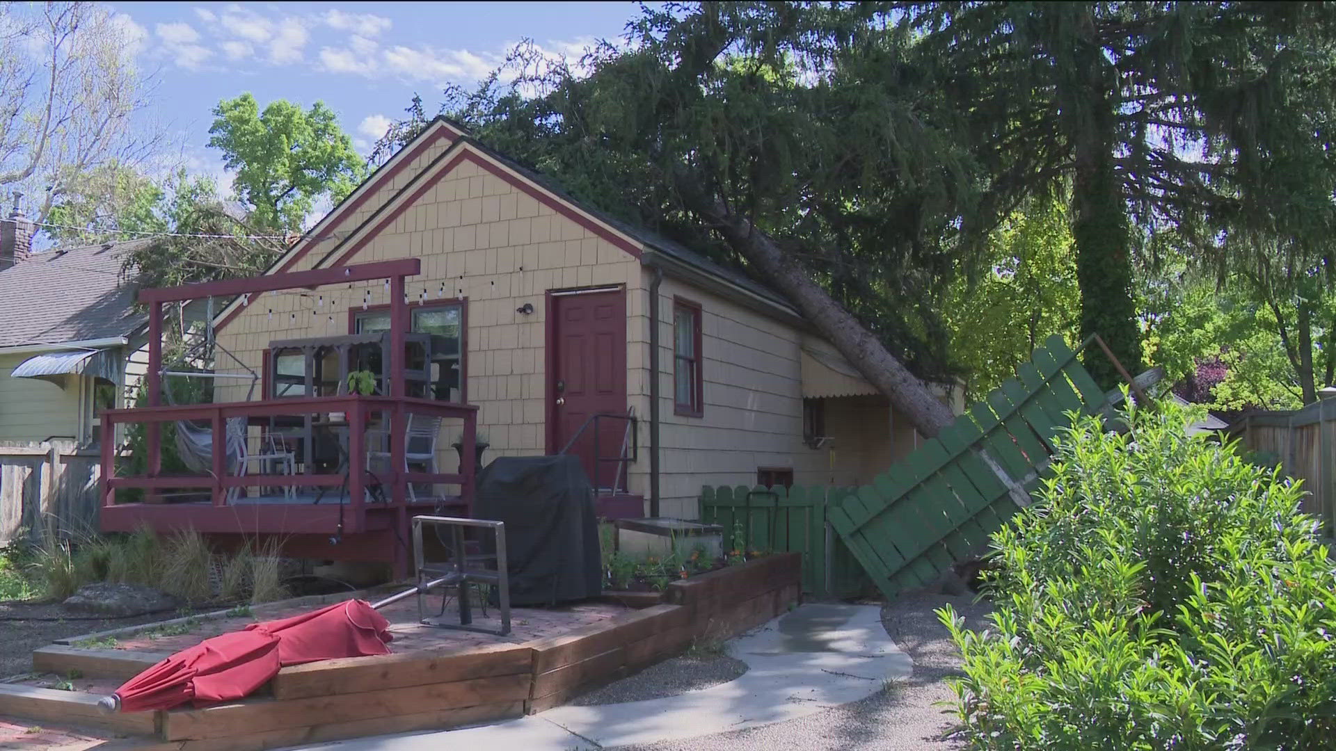 Strong winds topple tree onto Boise home | ktvb.com