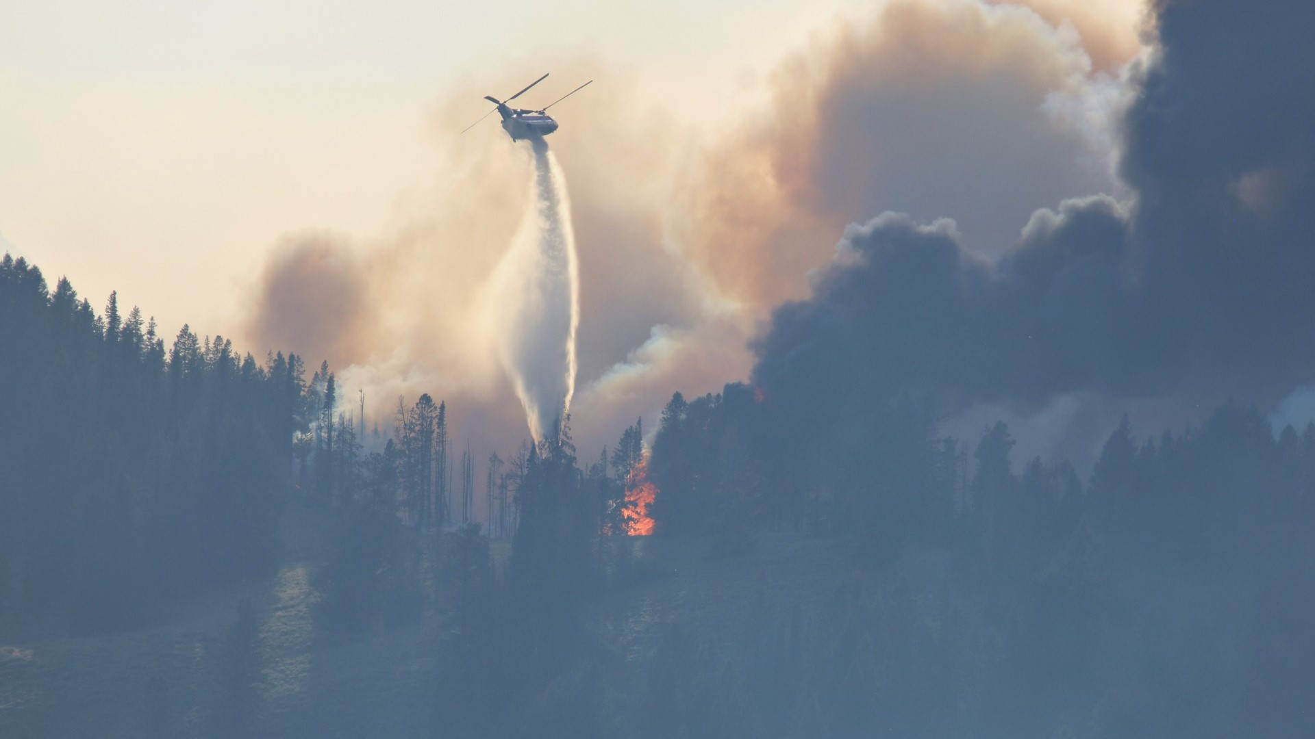 Four Corners Fire forces immediate evacuation for Campbell Creek area ...