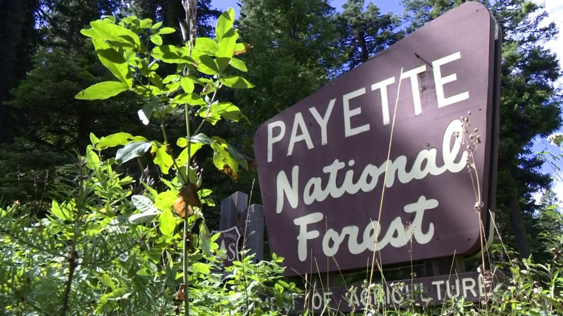 Payette National Forest plans prescribed burns as measure against ...