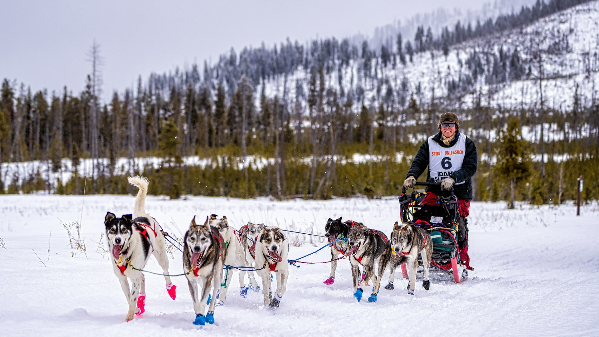 Paw yeah: Montana man wins 52-mile Idaho Sled Dog Challenge race | ktvb.com