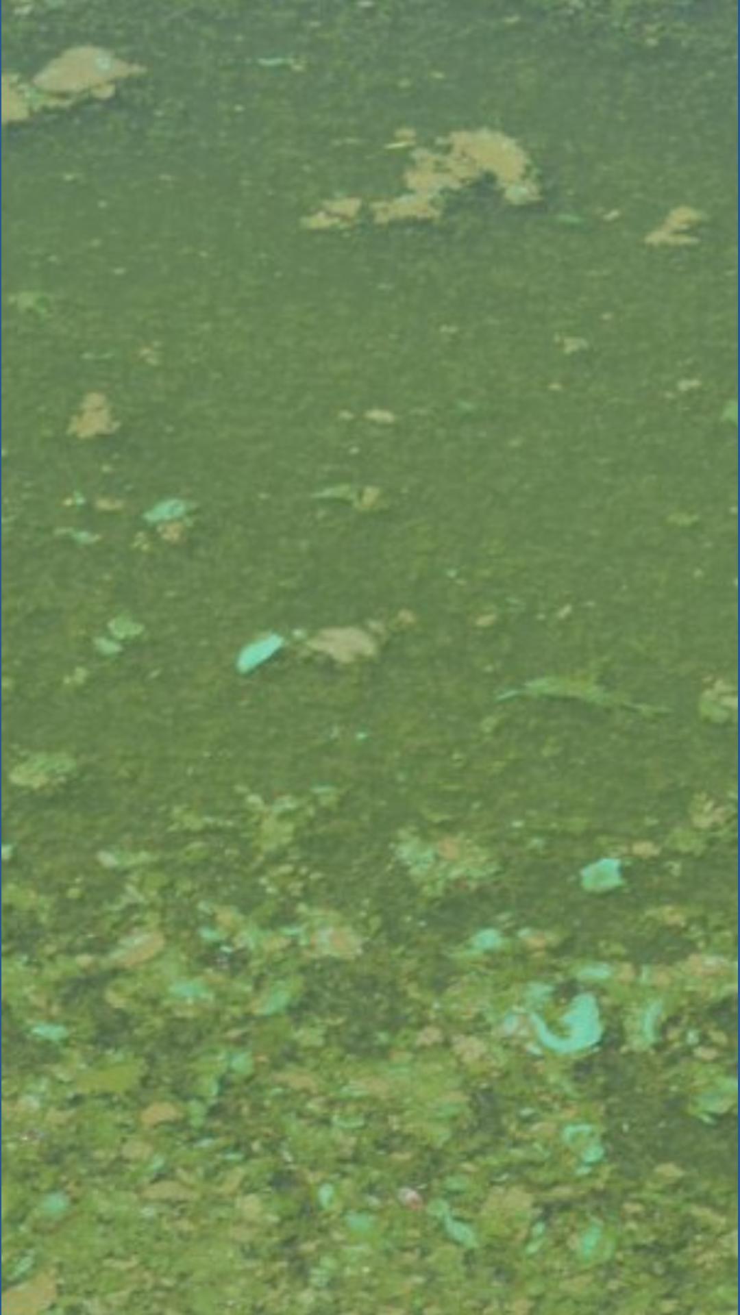 Health advisories issued for Lake Lowell, Van Wyck boat ramp on Lake ...