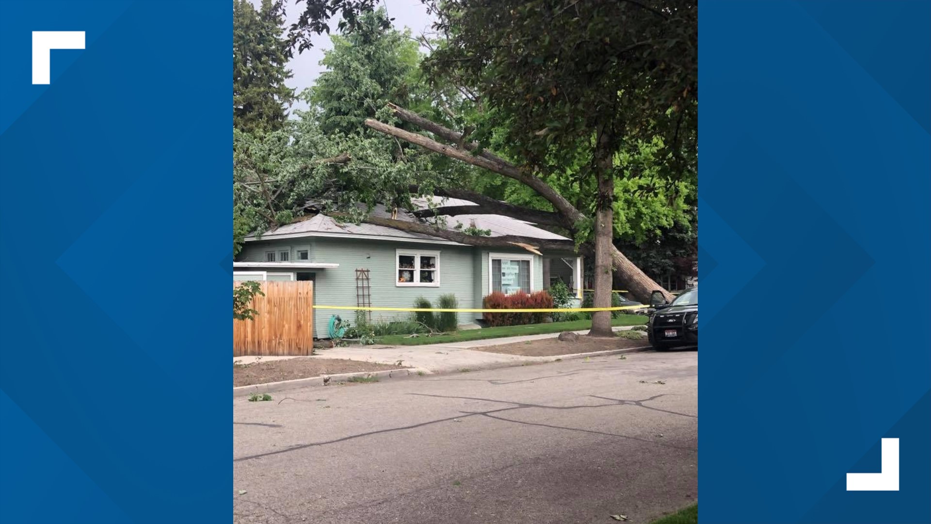 Trees toppled across the Treasure Valley after thunderstorms bring 50 ...