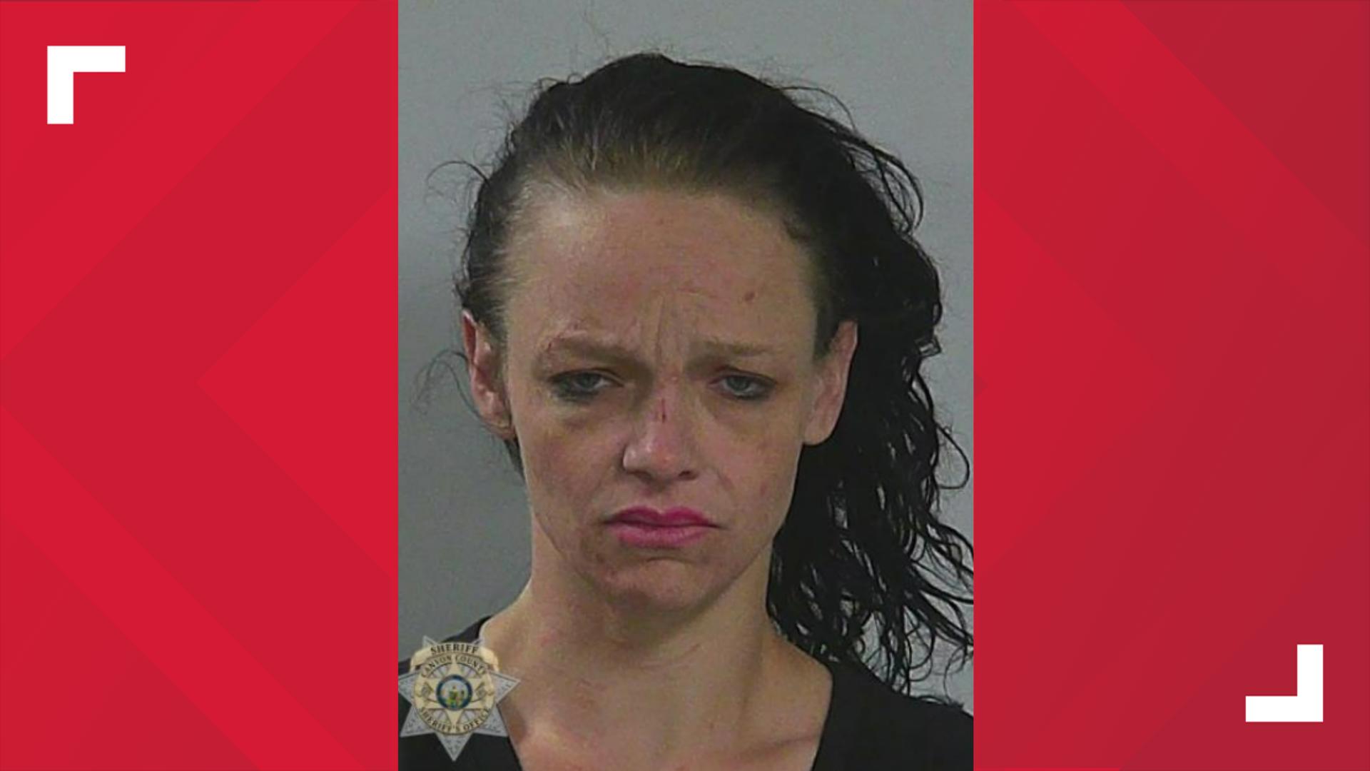 Woman sentenced to 17 years for crash that killed Nampa Police K-9 ...