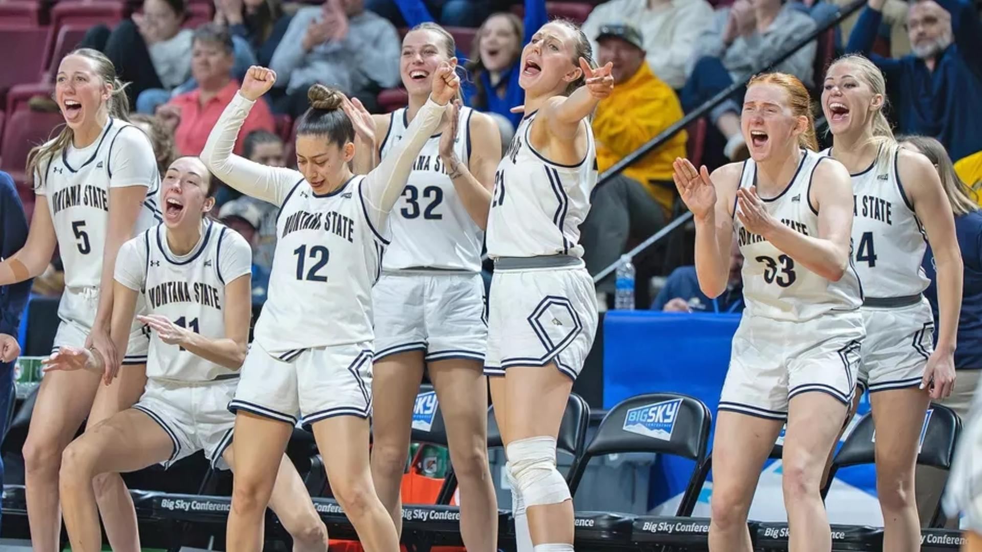Montana State faces Montana in Big Sky women's basketball championship ...