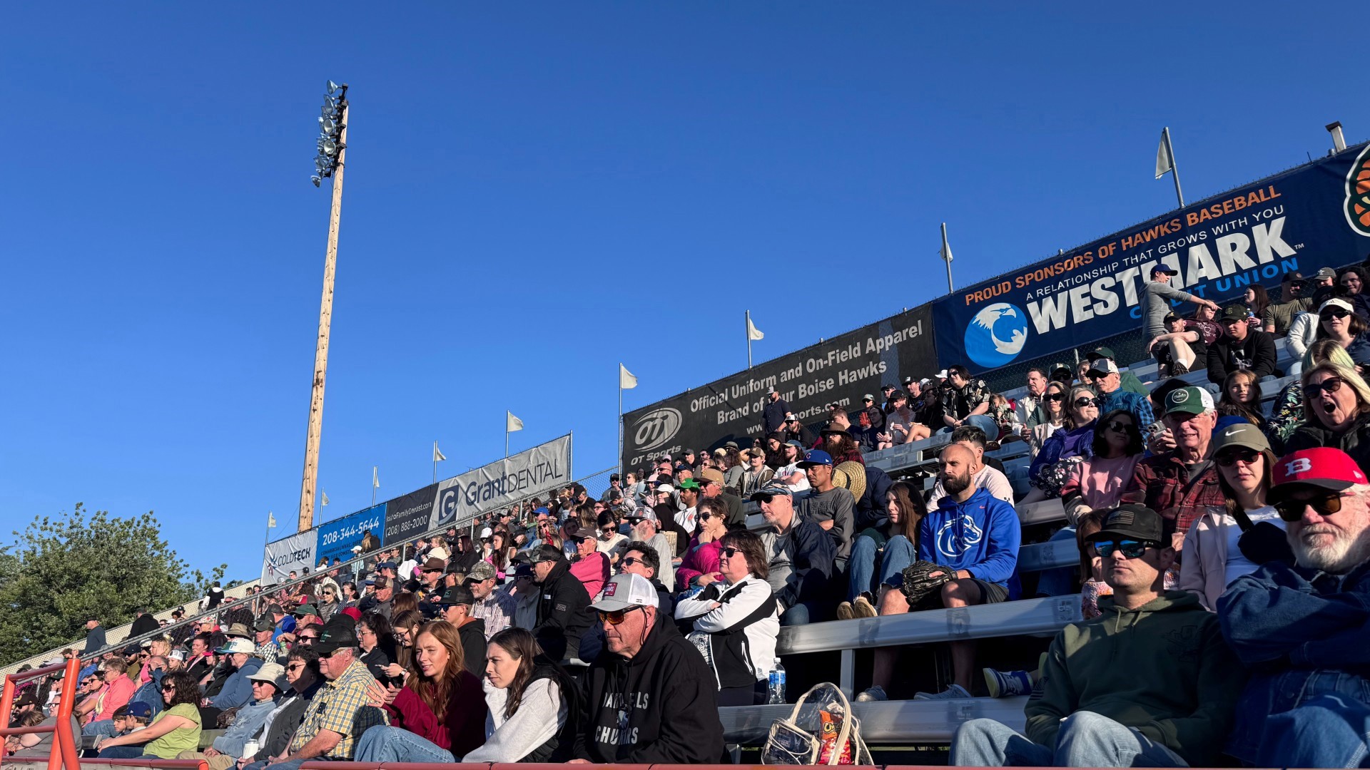 Scott Slant: Boise Hawks - past, present and future | ktvb.com