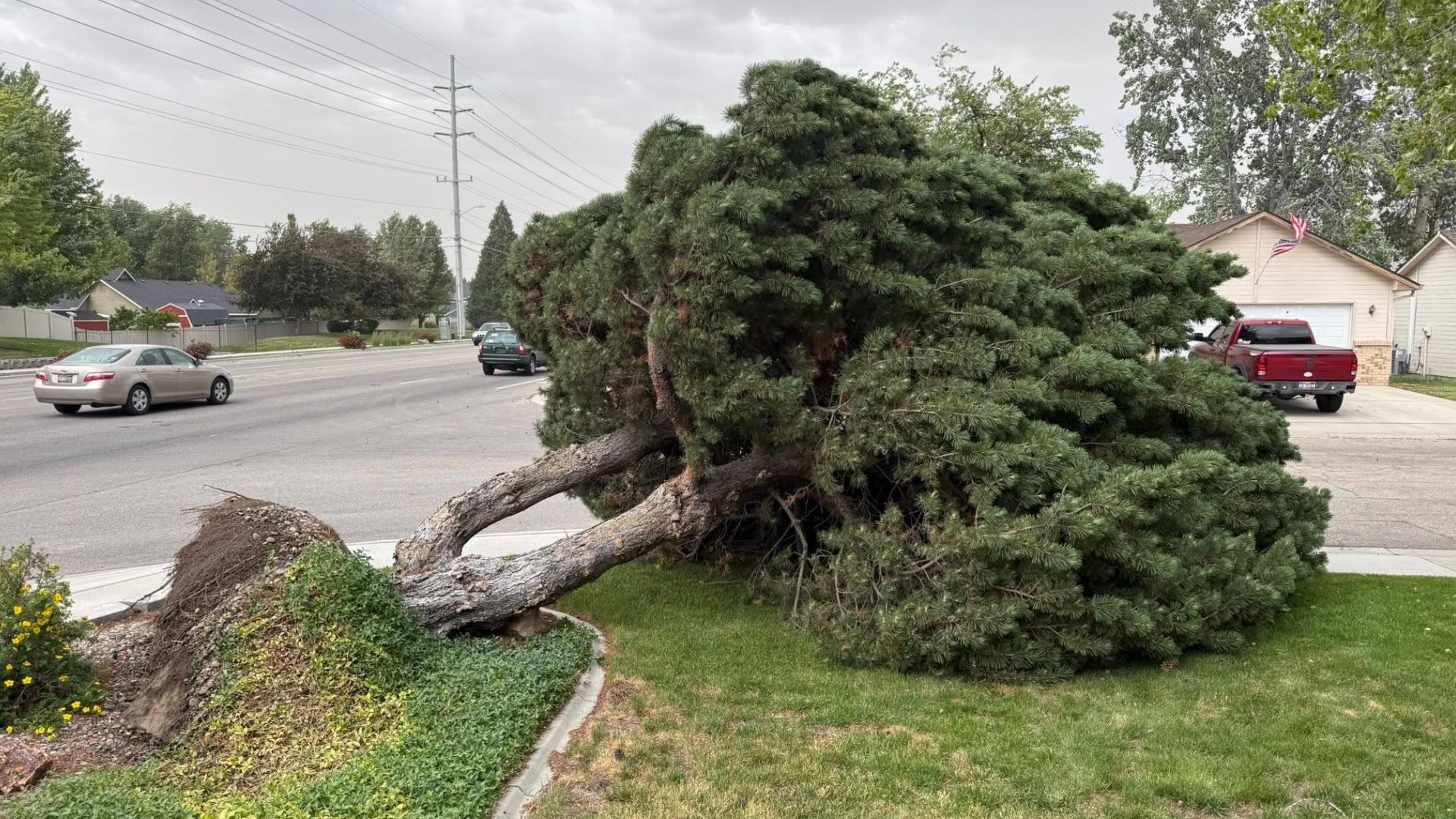 Treasure Valley slammed with severe thunderstorms, destructive winds ...