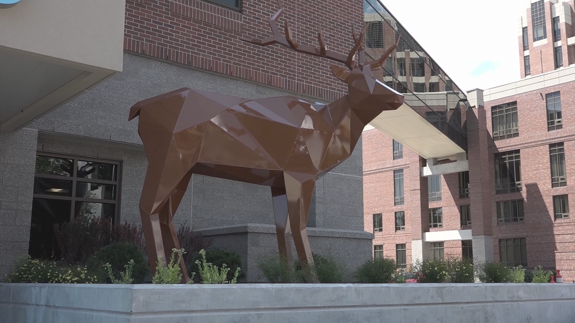 New artwork at St. Luke's Boise designed to help young patients forget ...