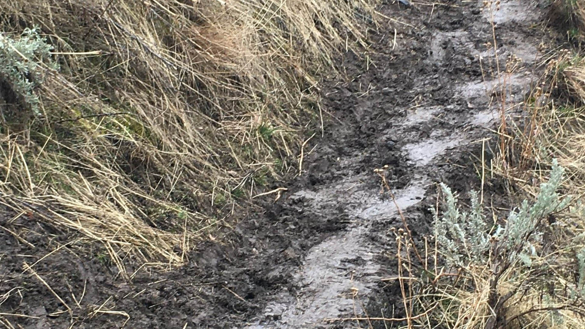 Hikers asked to avoid Boise Foothills amid muddy trail conditions ...