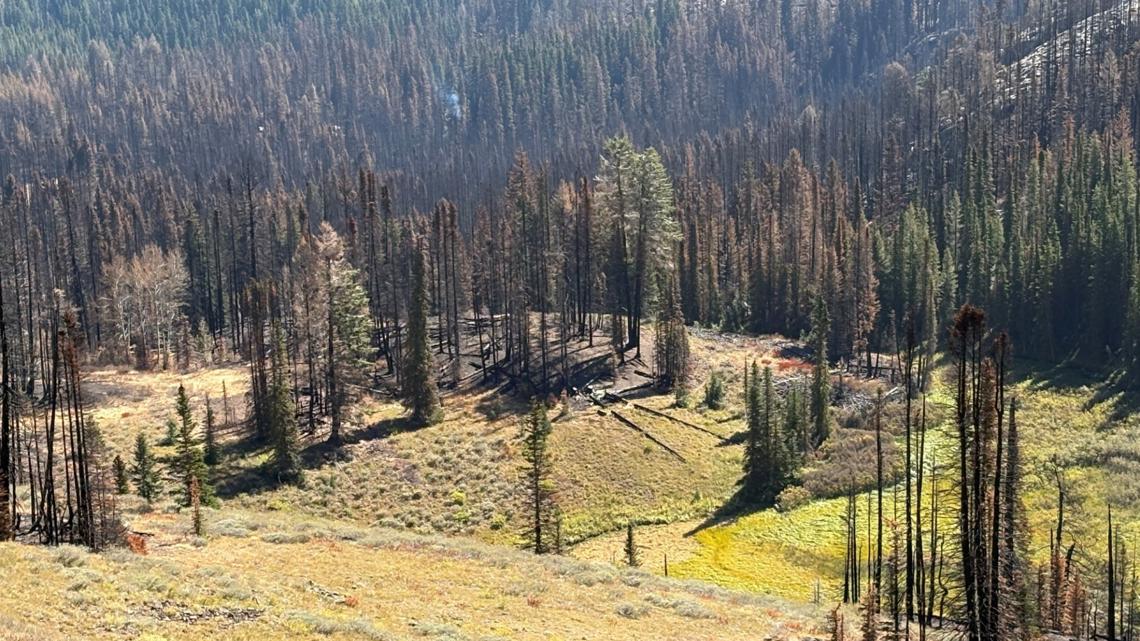 Teton Valley Brands moves HQ to larger Caldwell facility | ktvb.com