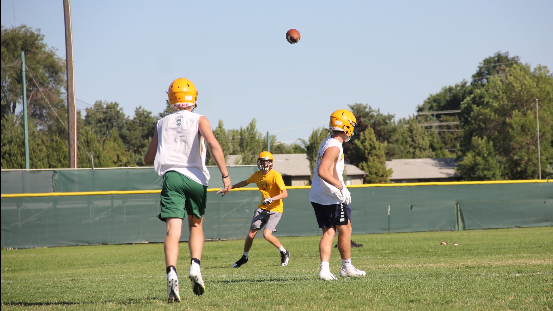 'We need to make sure Borah football lives up to its name': Lions ...
