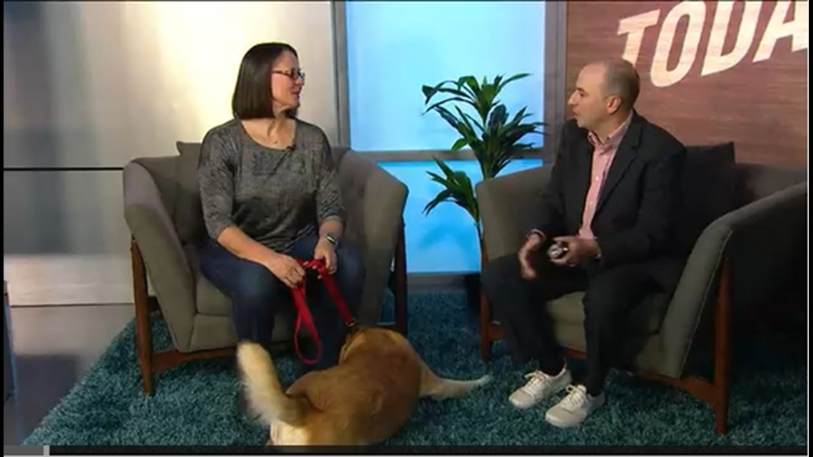 Idaho Today: Today's adoptable pet with Idaho Humane Society | ktvb.com