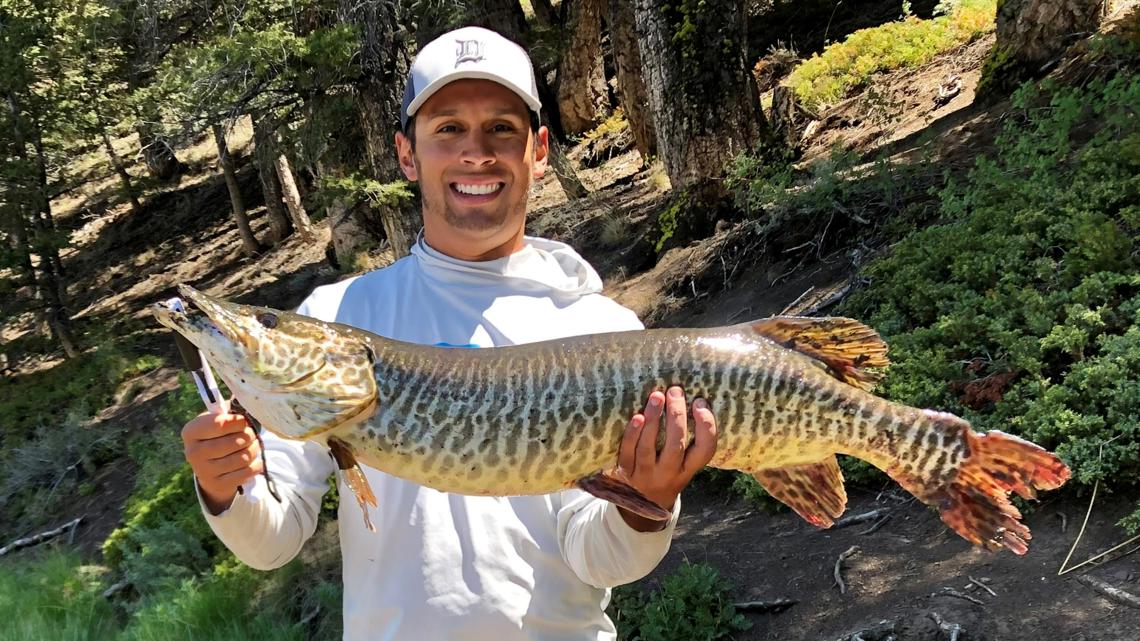 Reel Report: What is the Scariest Fish in Idaho? | ktvb.com