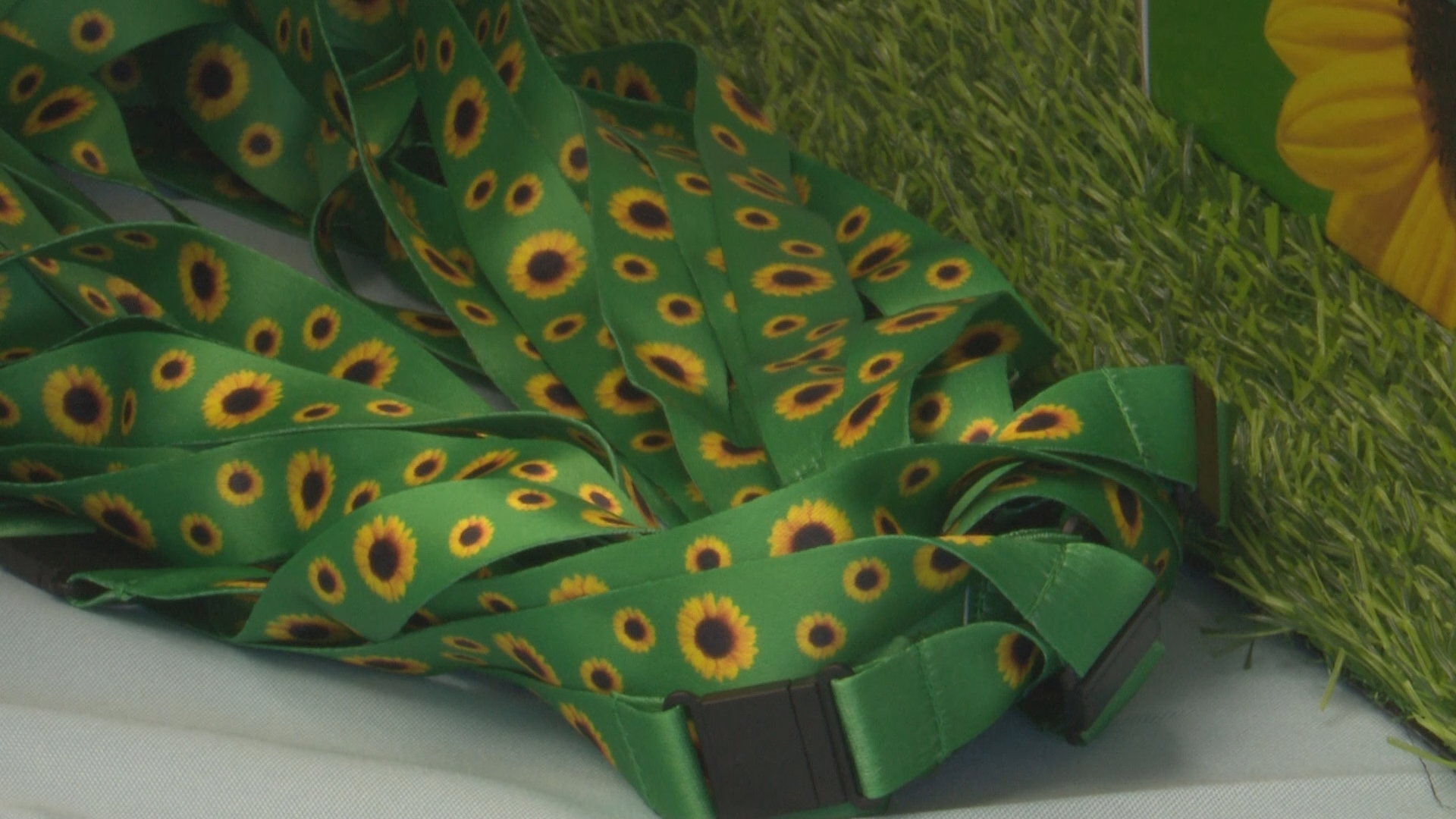 Boise Airport adopts Hidden Disabilities Sunflower Program | ktvb.com