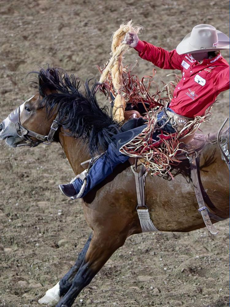 Caldwell Night Rodeo receives title of Idaho's Top Large Rodeo of the ...