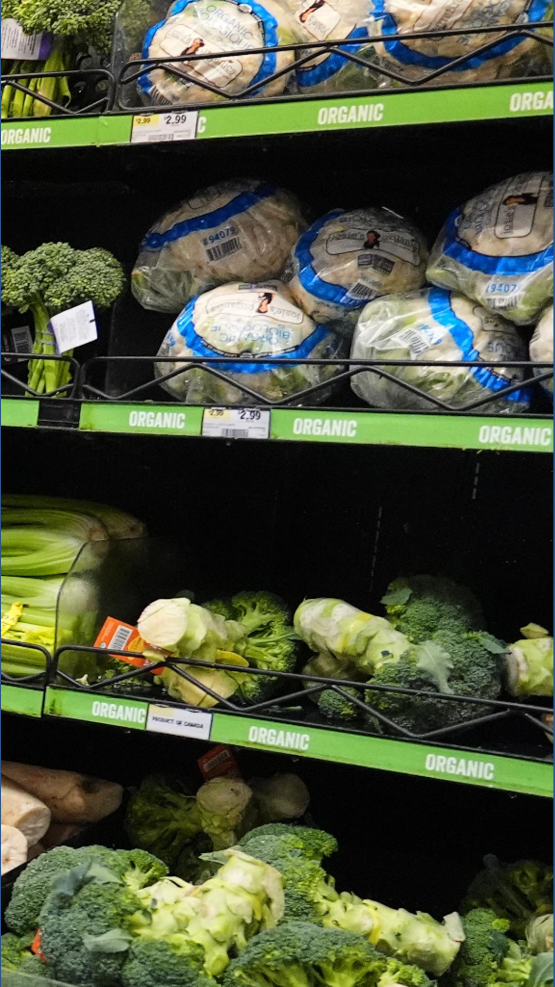 Idaho Department of Health and Welfare issues SNAP benefits update ...