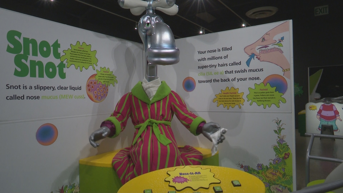 Visit DC Idaho's Grossology exhibit: Explore human body science | ktvb.com