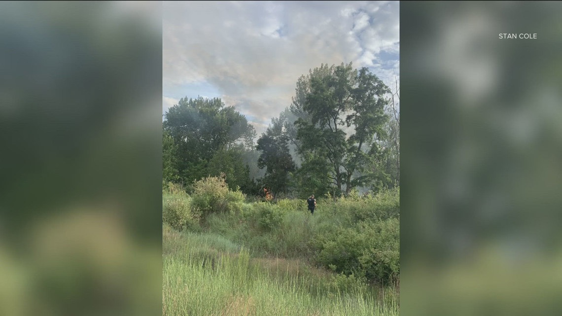 Lewis-Clark State baseball won't renew head coach Jake Taylor's ...