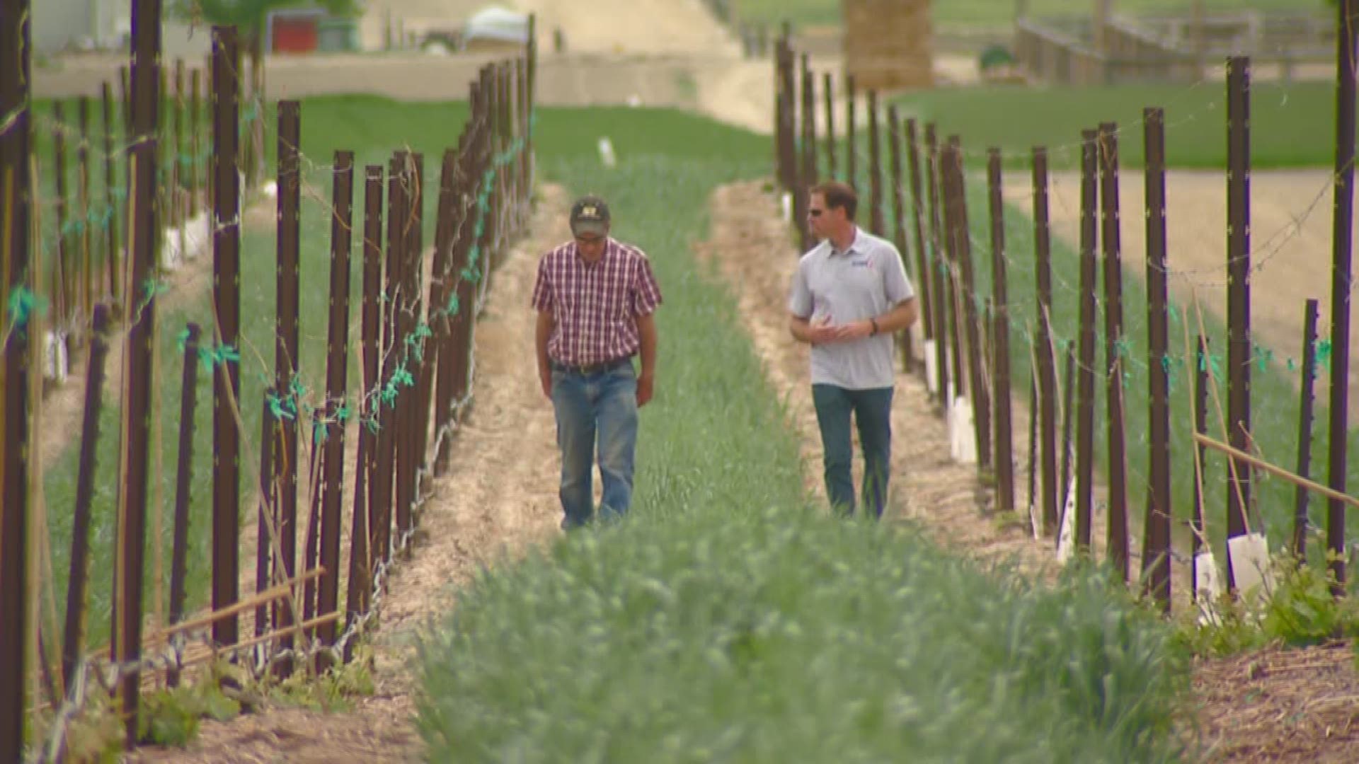 Climate change and farming: Growing seasons getting longer | ktvb.com
