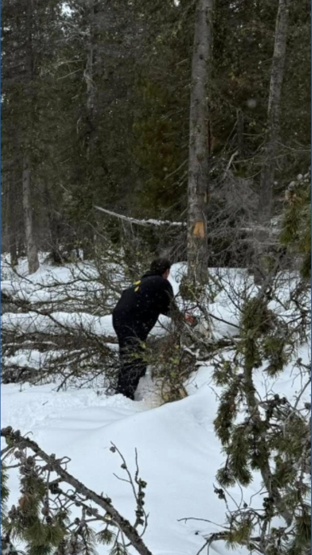 The YMCA Christmas Run has been a family holiday tradition in Boise for ...