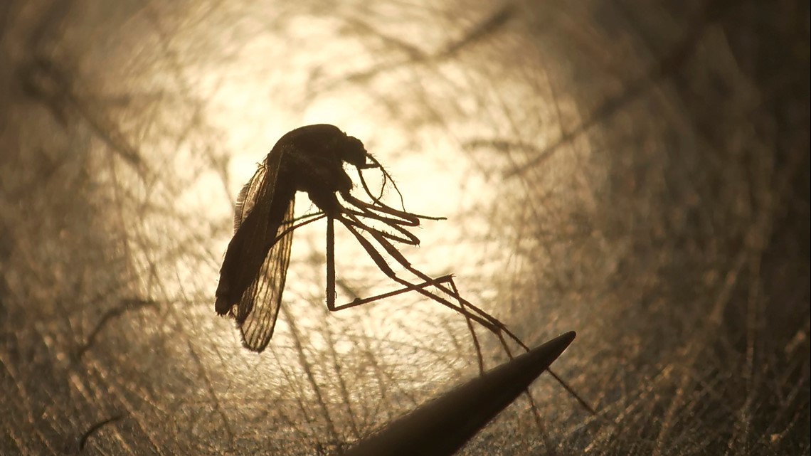 Idaho's first human West Nile infection of 2023 reported | ktvb.com