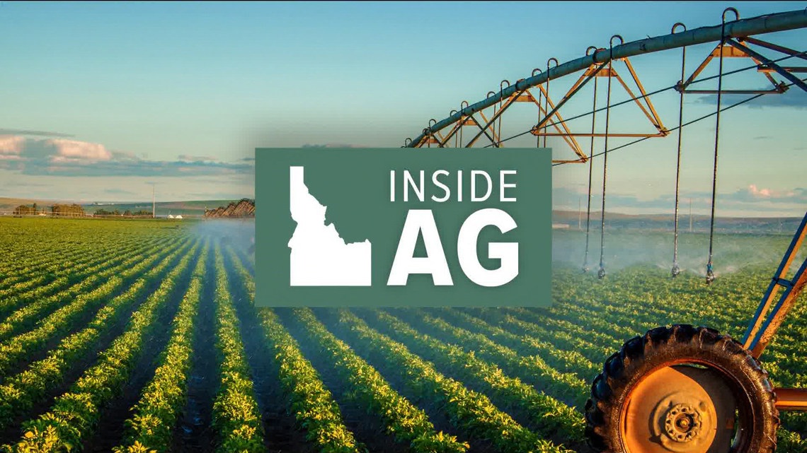 Inside Ag Townhall | ktvb.com