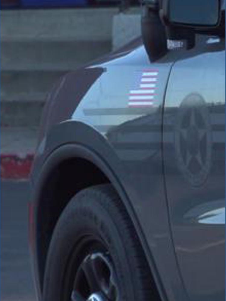 Over 60 horses in North Idaho seized amid ongoing animal neglect ...