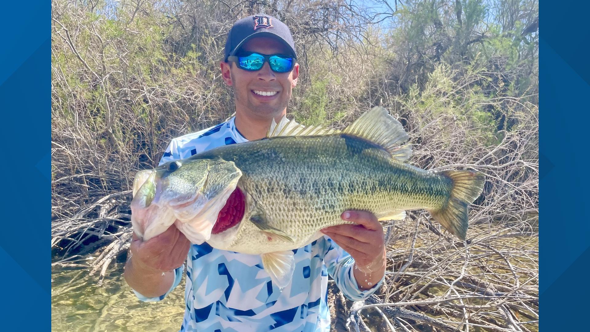 Tight Lines 208 - Catching the bass of a lifetime at Lake Havasu | ktvb.com