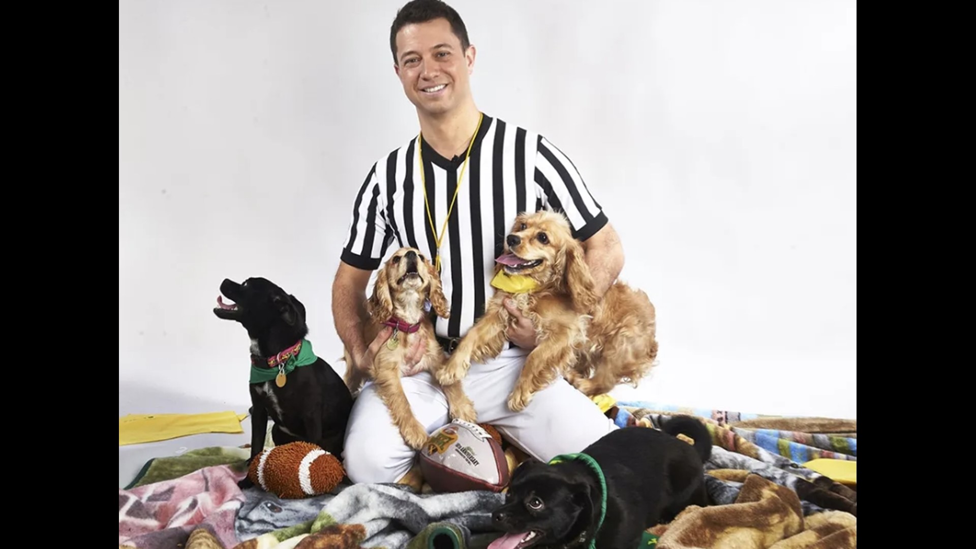 Puppy Bowl celebrates 20 years, 'rufferee' Dan Schachner on all the ...